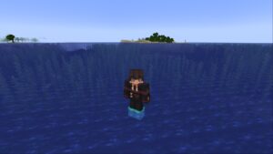 What Is Depth Strider in Minecraft? - Deltia's Gaming