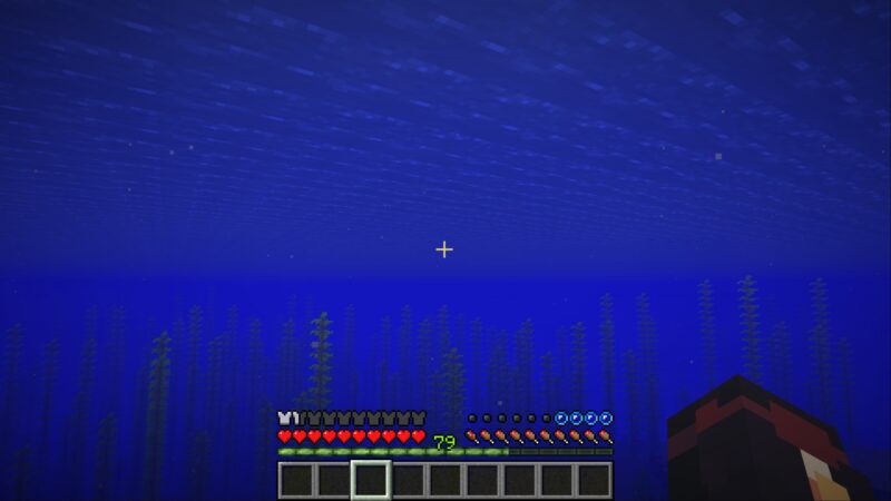 What Is Depth Strider in Minecraft? - Deltia's Gaming