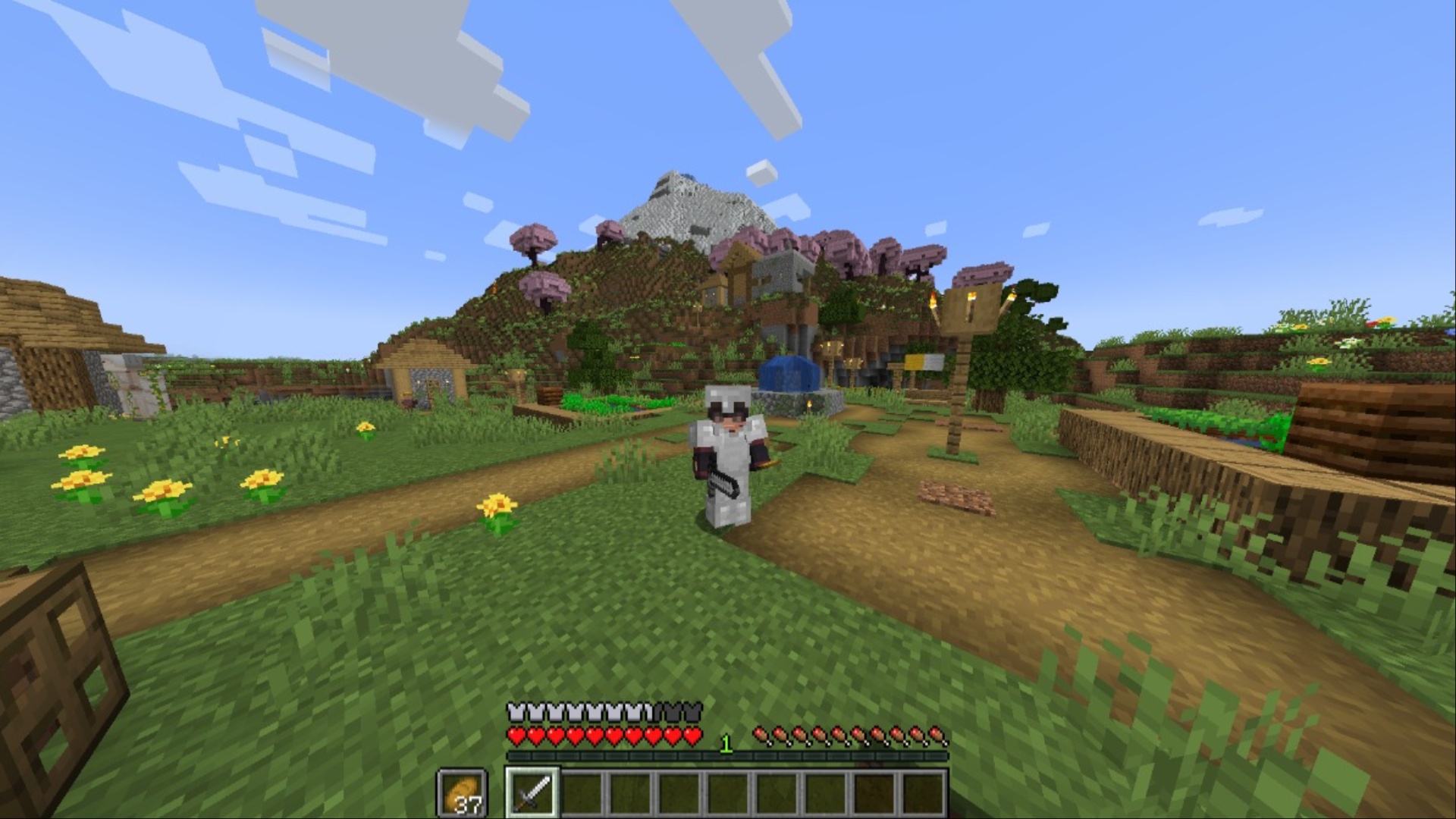 How To Beat Minecraft? - Deltia's Gaming