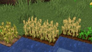 ⁠How To Make Packed Mud in Minecraft - Deltia's Gaming