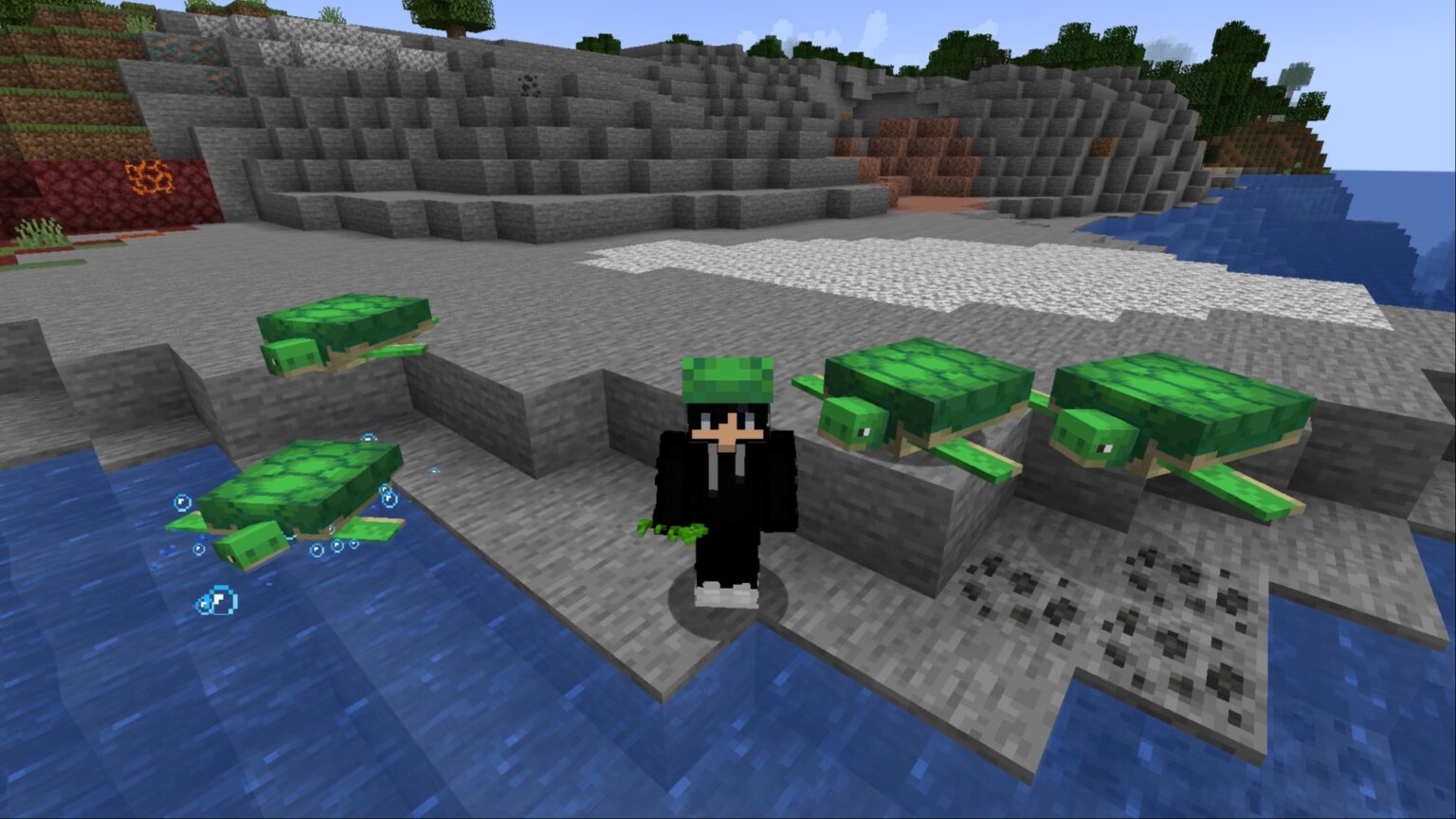 How To Get Seagrass in Minecraft - Deltia's Gaming