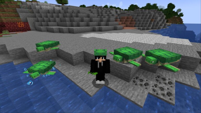 How To Get Seagrass in Minecraft - Deltia's Gaming