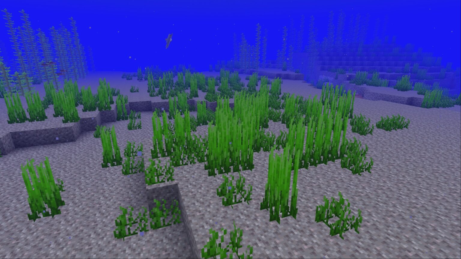 How To Get Seagrass in Minecraft - Deltia's Gaming