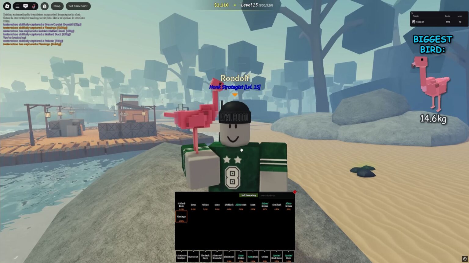Beaks Roblox Guide: What’s the Biggest Bird and How To Capture It ...