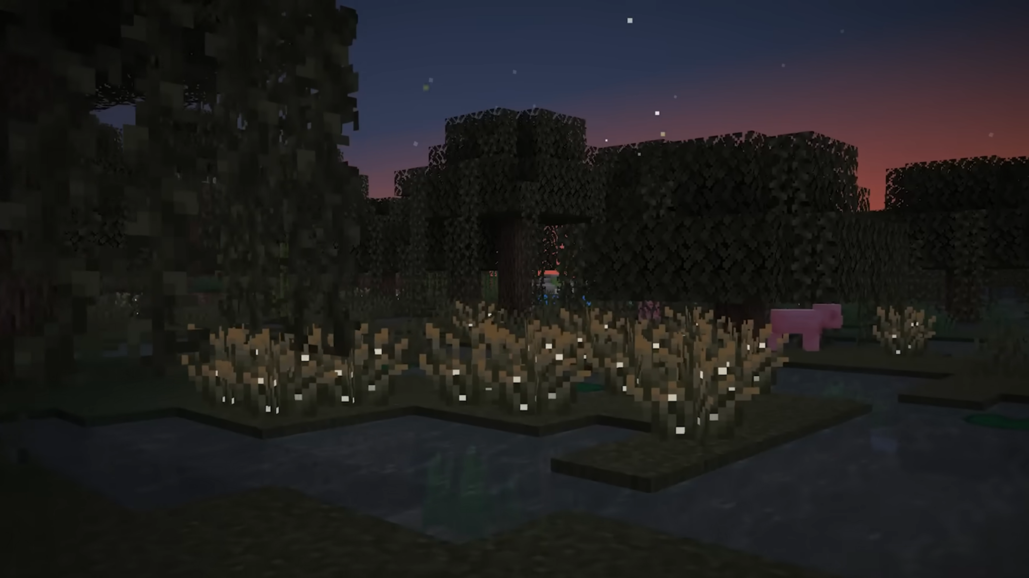 Everything You Need To Know About the New Firefly Bush Block in ...