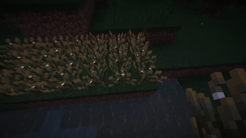 Everything You Need To Know About the New Firefly Bush Block in ...