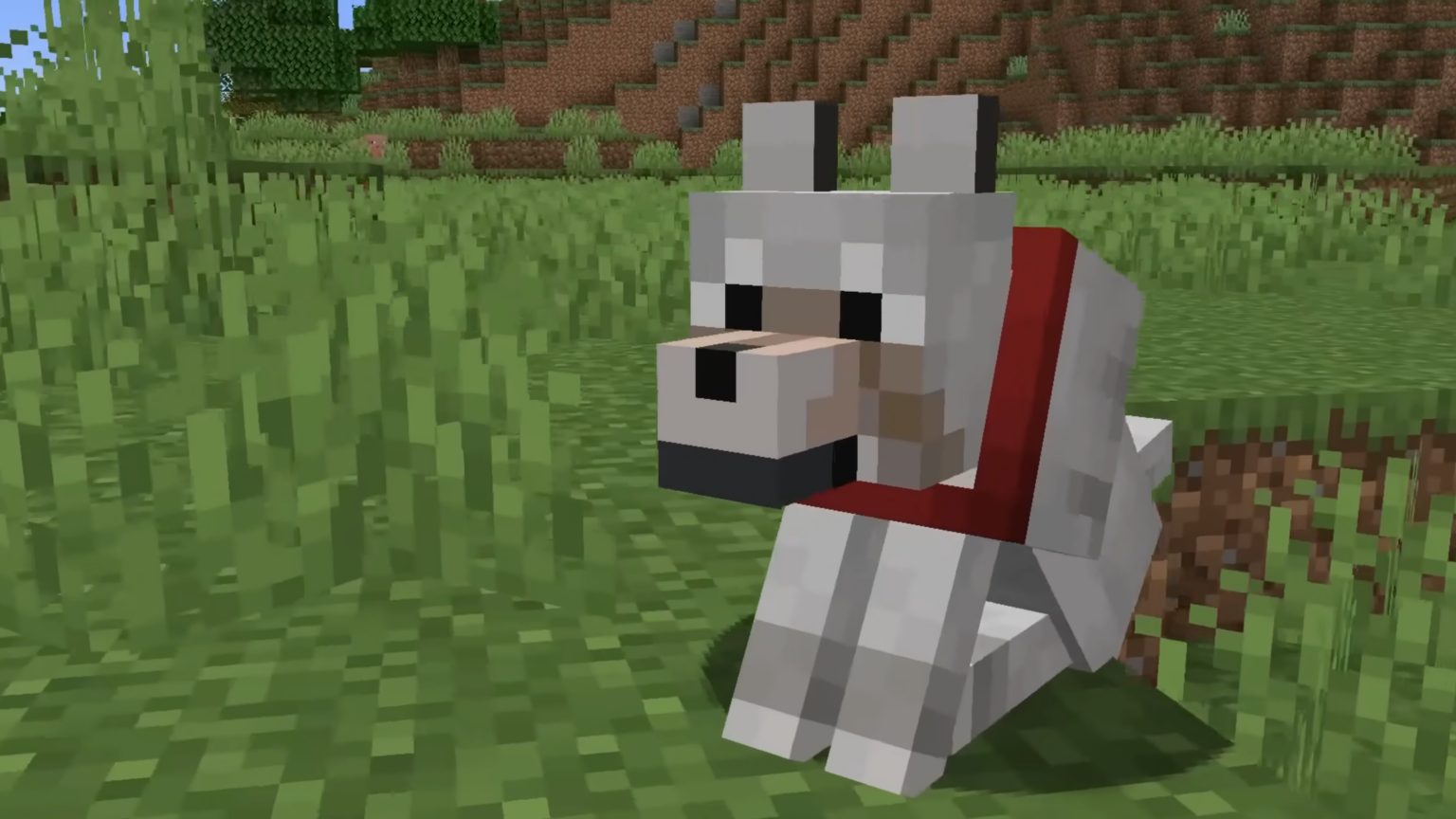 Everything You Need To Know About the New Wolf Personalities in ...