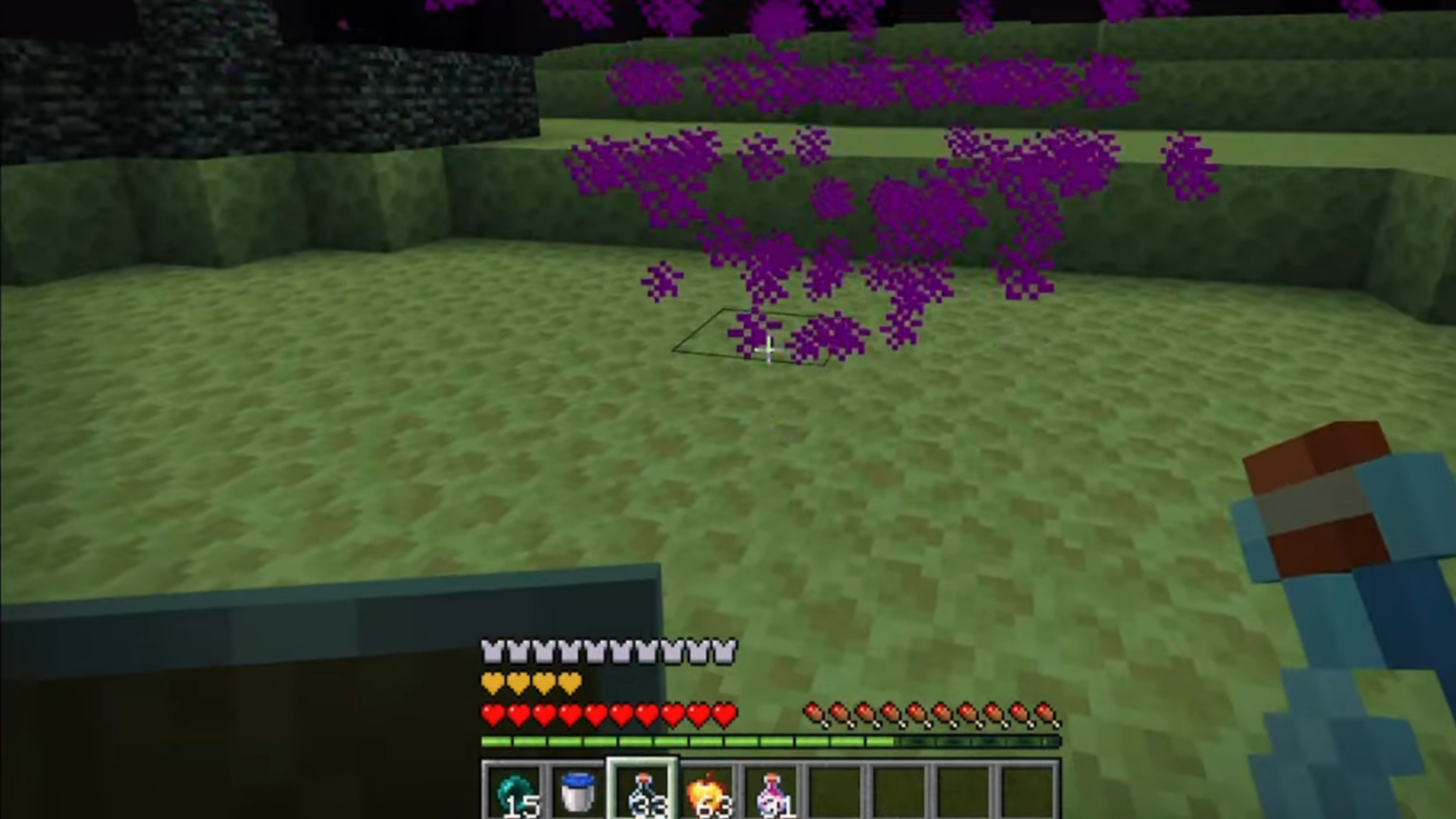 Exploring Dragon’s Breath in Minecraft - Deltia's Gaming