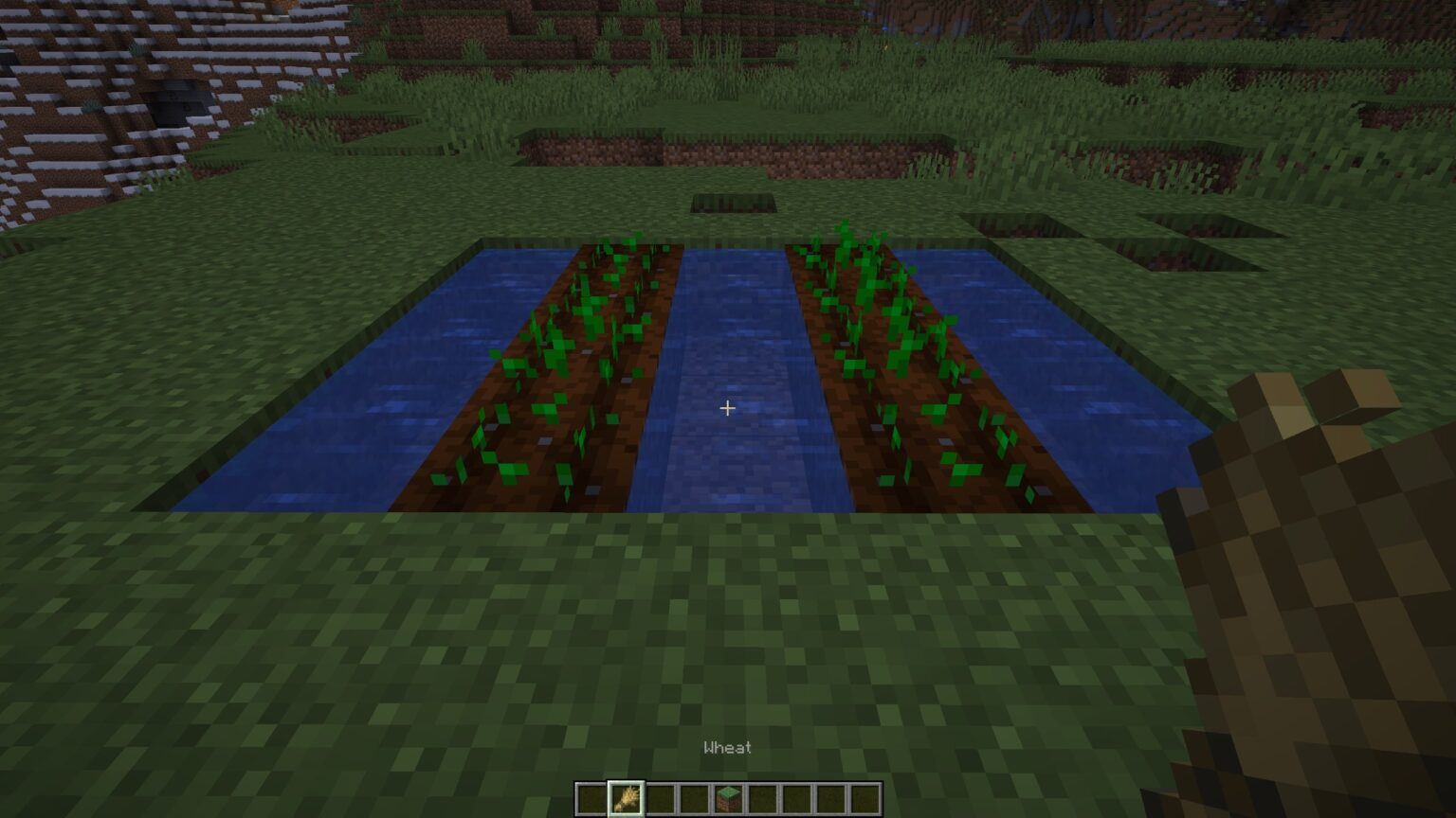 Minecraft: How To Grow Crops - Deltia's Gaming