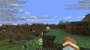 How To Show Coordinates in Minecraft? - Deltia's Gaming