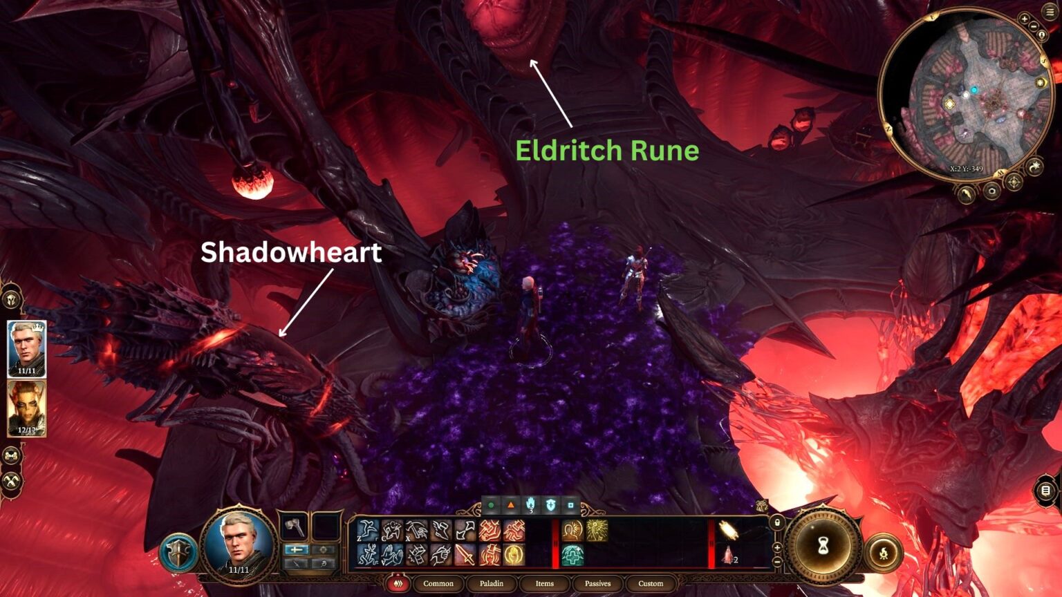 How To Open the Mind Flayer Pod and Rescue Shadowheart in Baldur’s Gate 3? - Deltia's Gaming