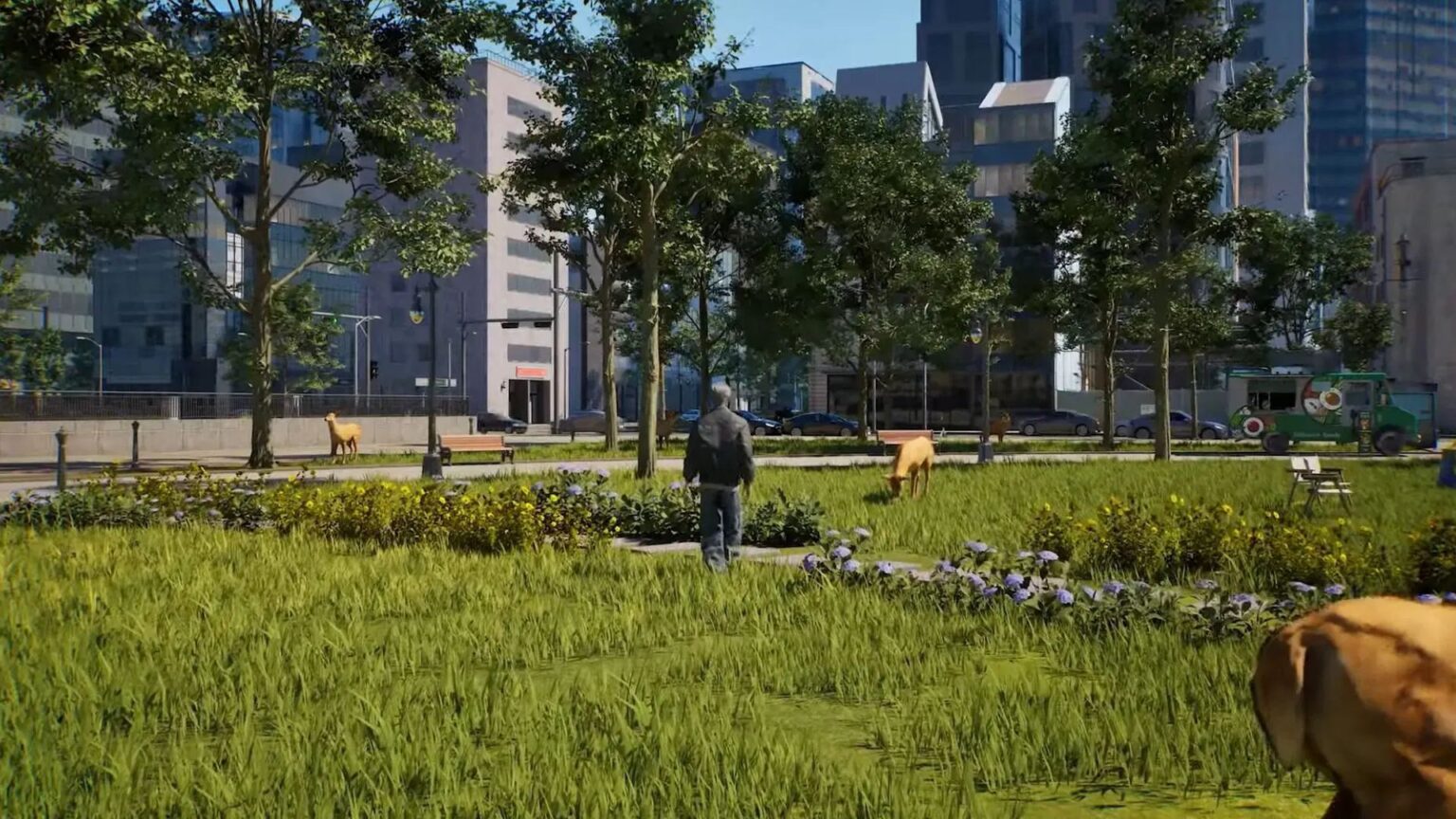 Inzoi: Can You Get a Cat as a Pet? - Deltia's Gaming