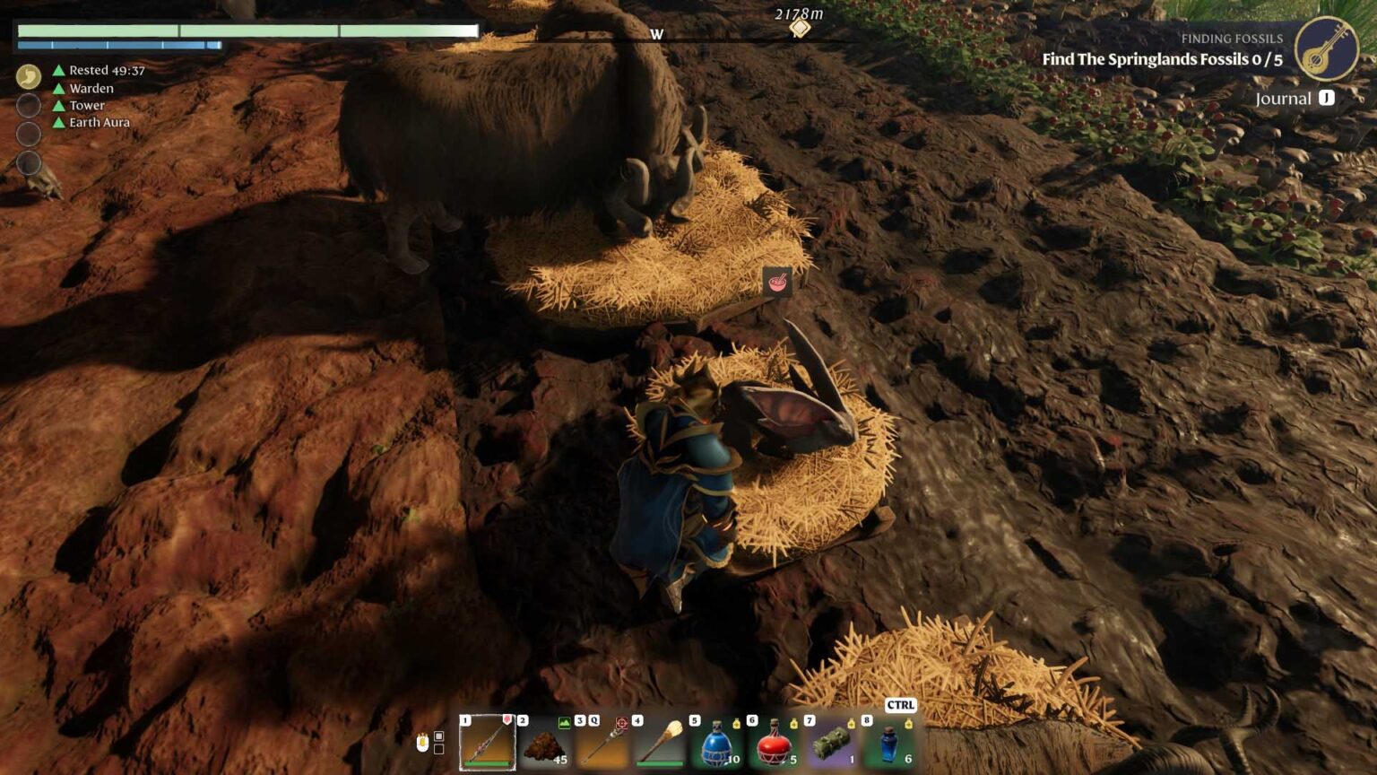 How to Get Hazelnut in Enshrouded - Deltia's Gaming