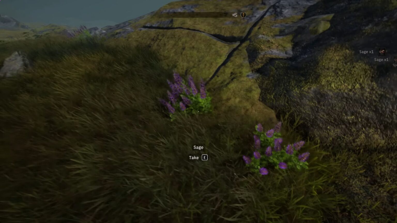 Tainted Grail The Fall of Avalon: How To Heal - Deltia's Gaming