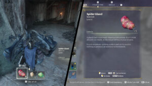 How to Get Spider Gland in Enshrouded - Deltia's Gaming