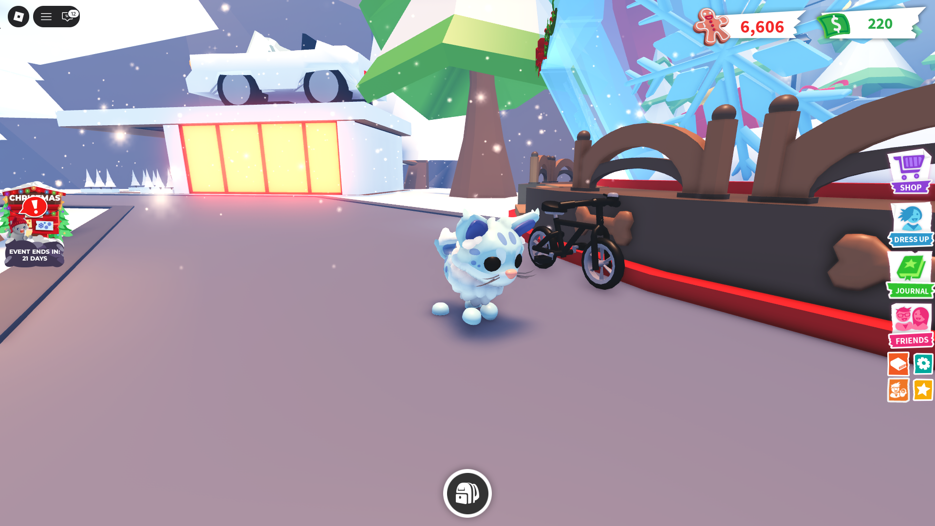 How To Get Maine Coon in Adopt Me - Deltia's Gaming