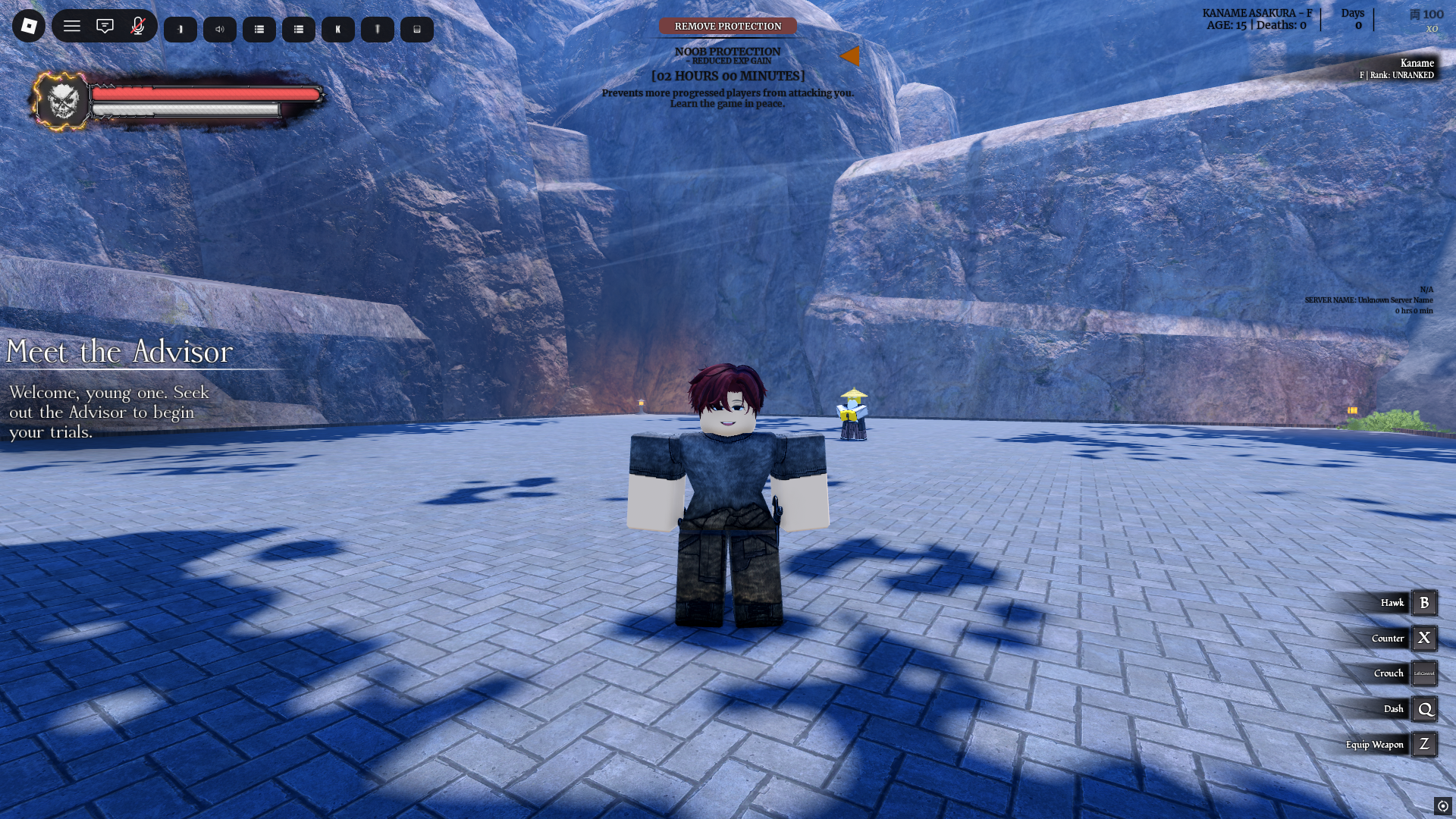 NINJA Codes (December 2025) - Deltia's Gaming