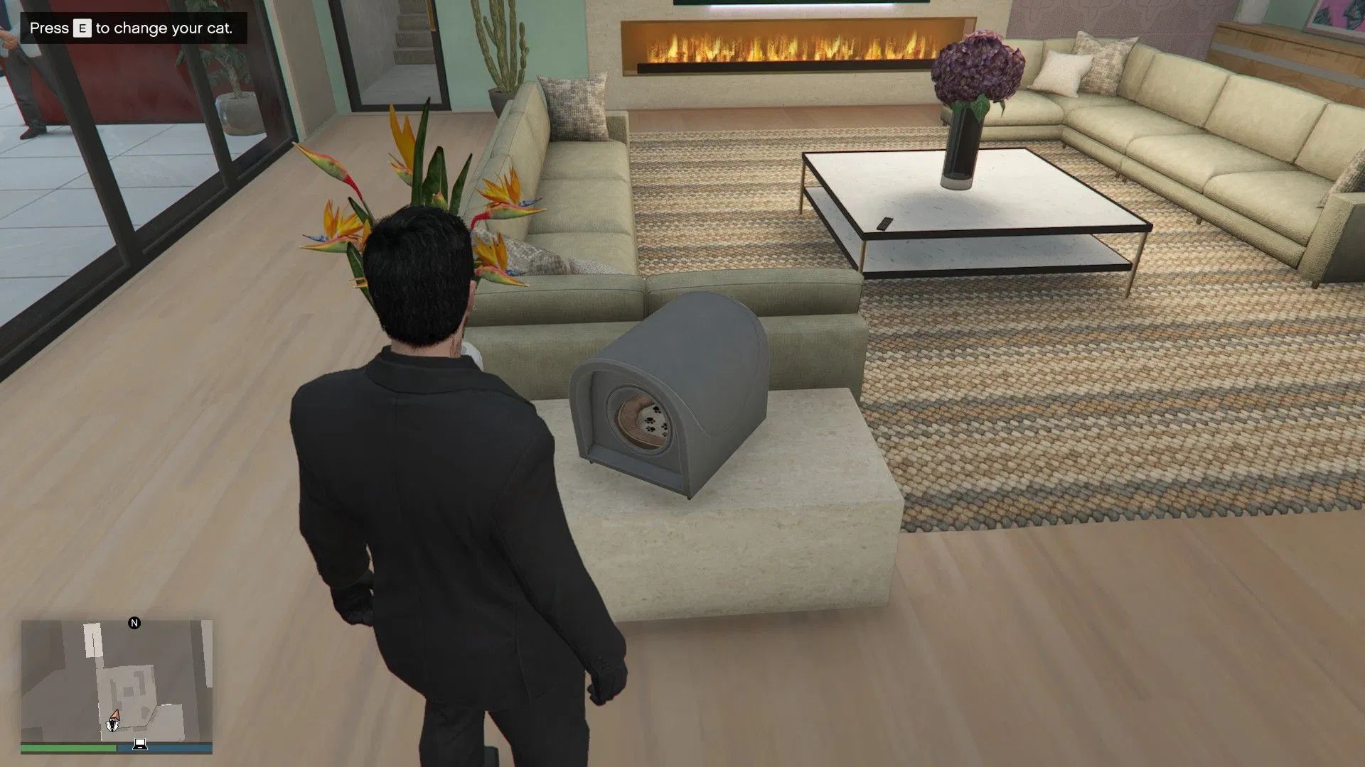 GTA Online: How To Get Cats in A Safehouse in the Hills DLC - Deltia's ...