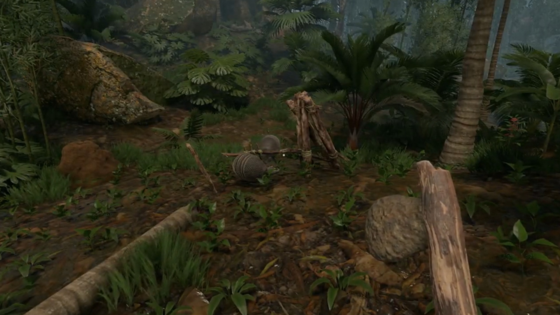 Green Hell: How To Get Armadillo Shells - Deltia's Gaming