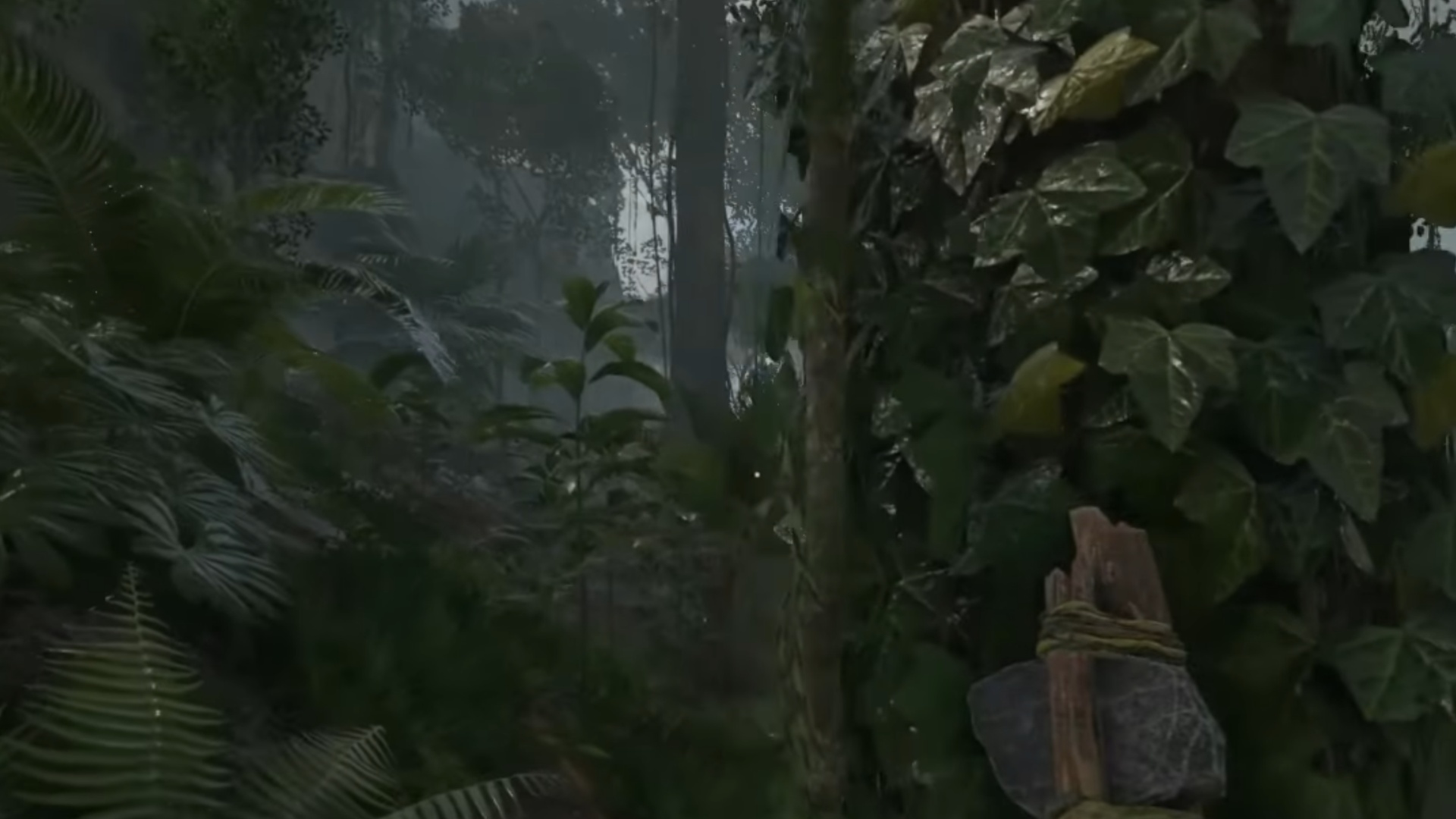 Green Hell: How To Get Clean Water - Deltia's Gaming