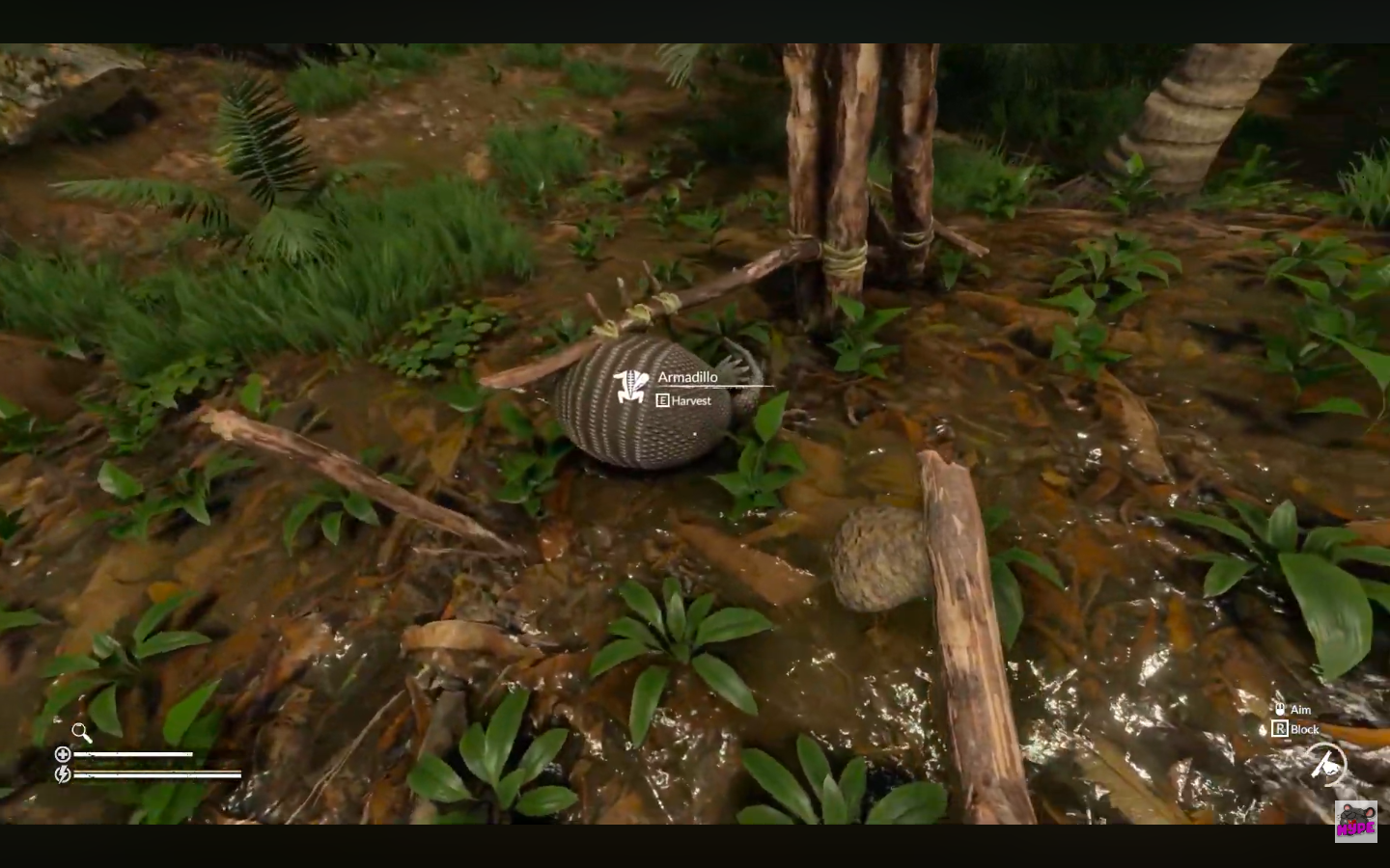 Green Hell: How To Get Armadillo Shells - Deltia's Gaming