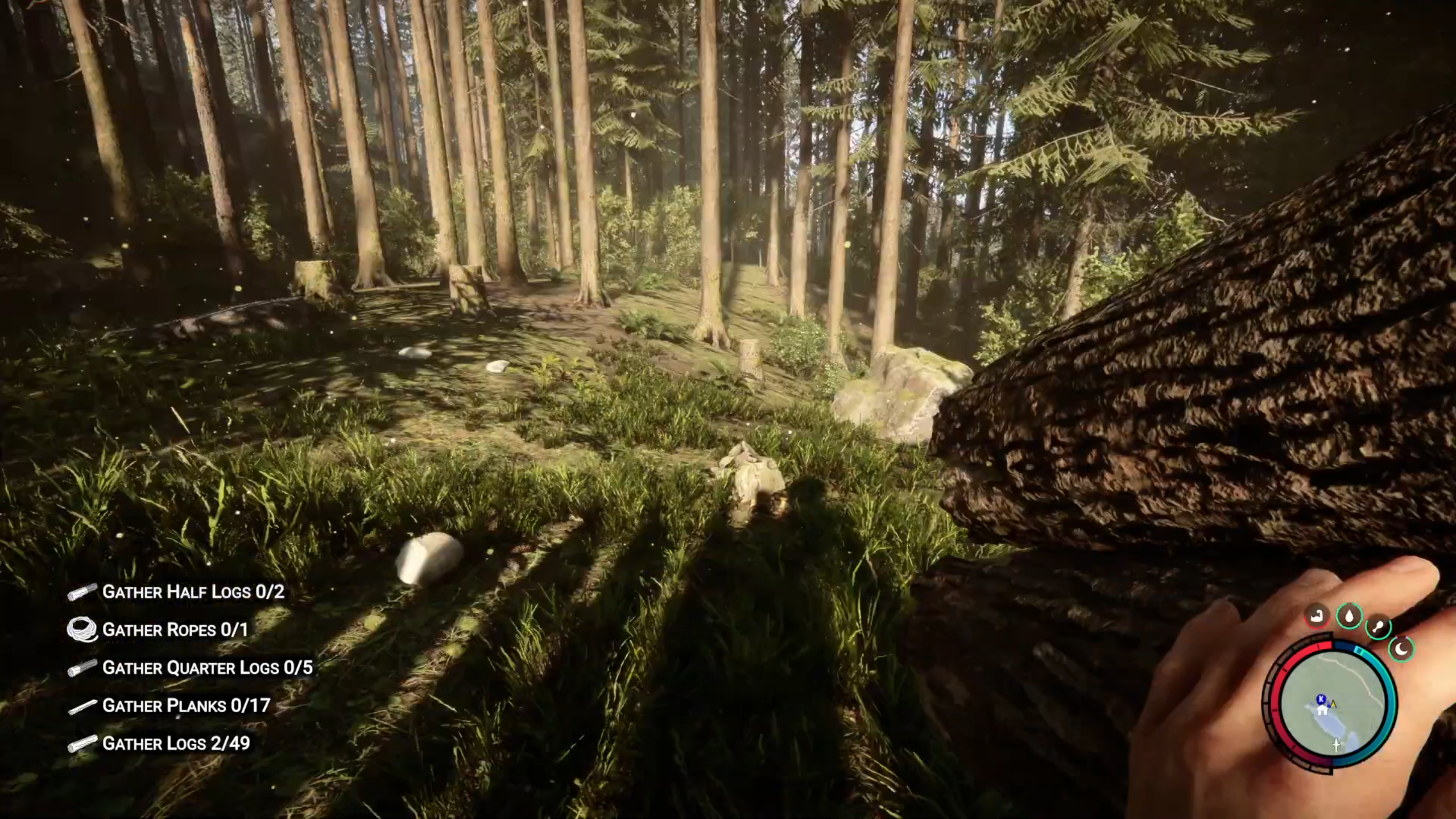 Sons of the Forest: How To Build a Defensive Wall - Deltia's Gaming