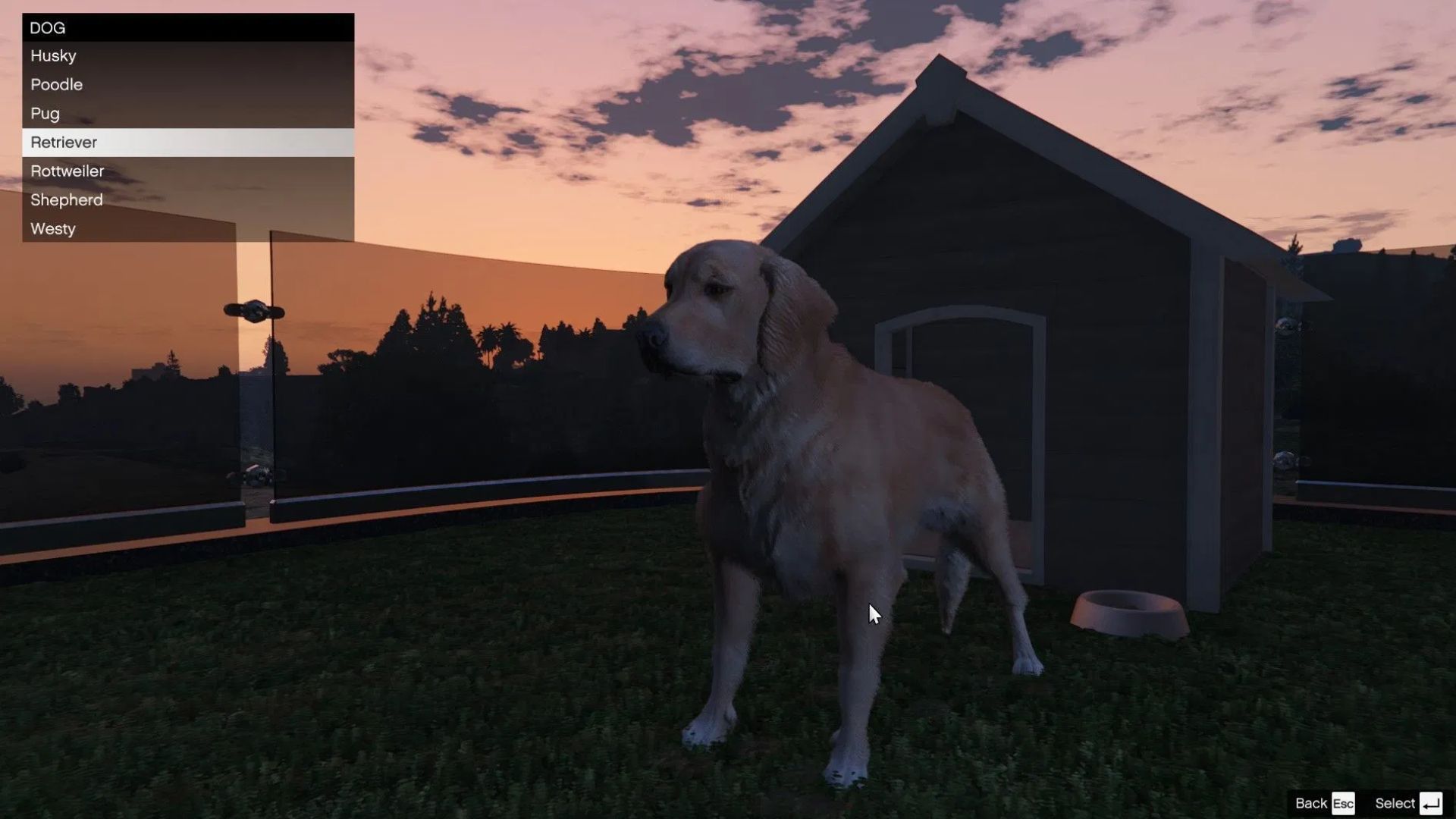 GTA Online: How To Get Dogs in A Safehouse in the Hills DLC - Deltia's ...