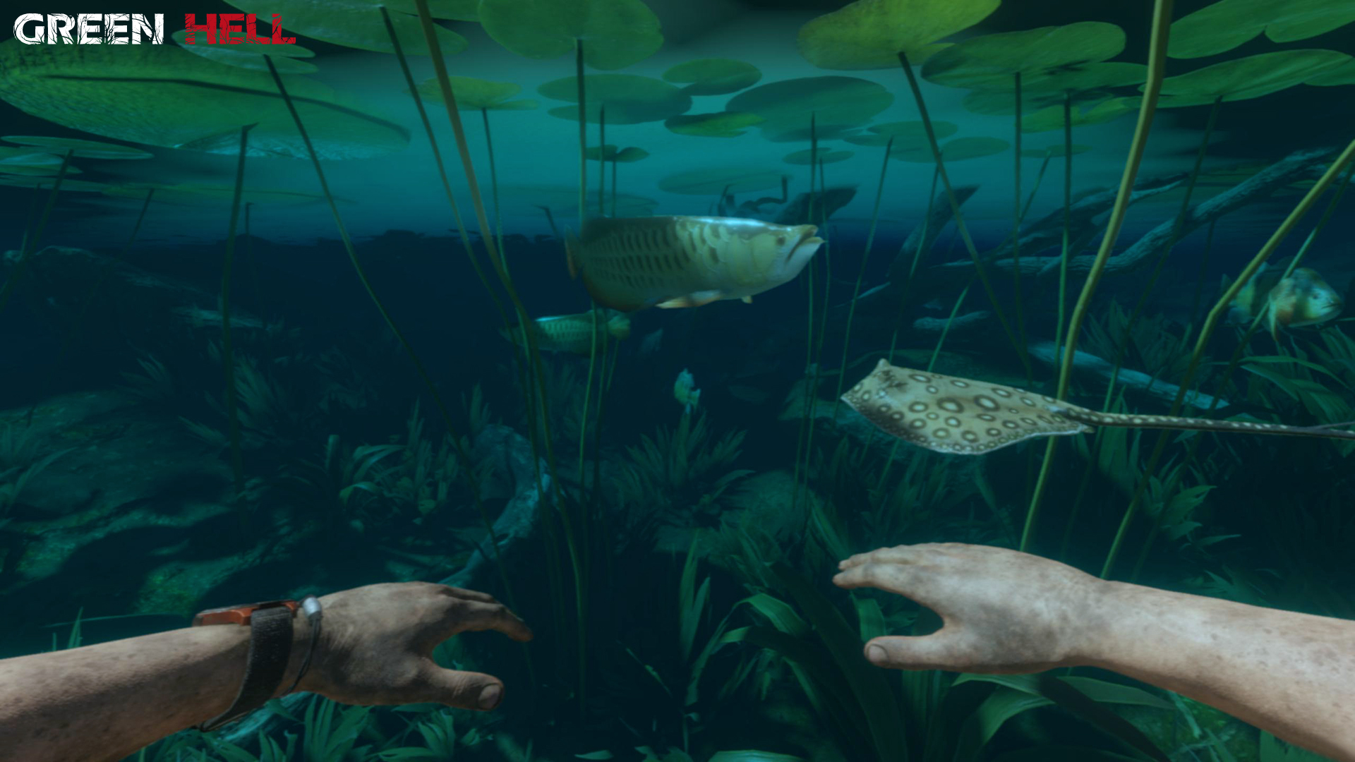 Green Hell: How To Get Arowana Scales - Deltia's Gaming