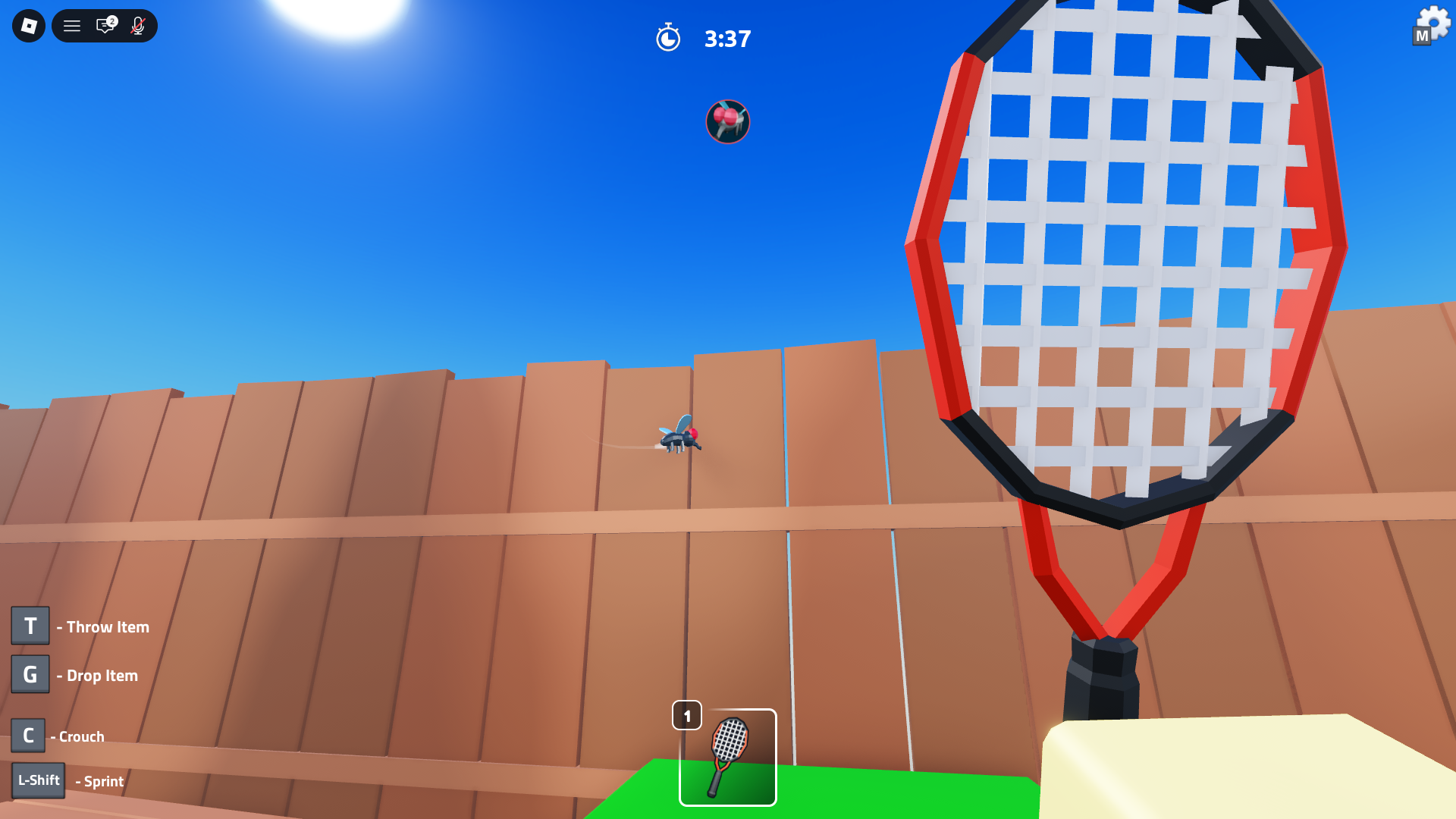 Catch The Fly Codes (January 2026) - Deltia's Gaming