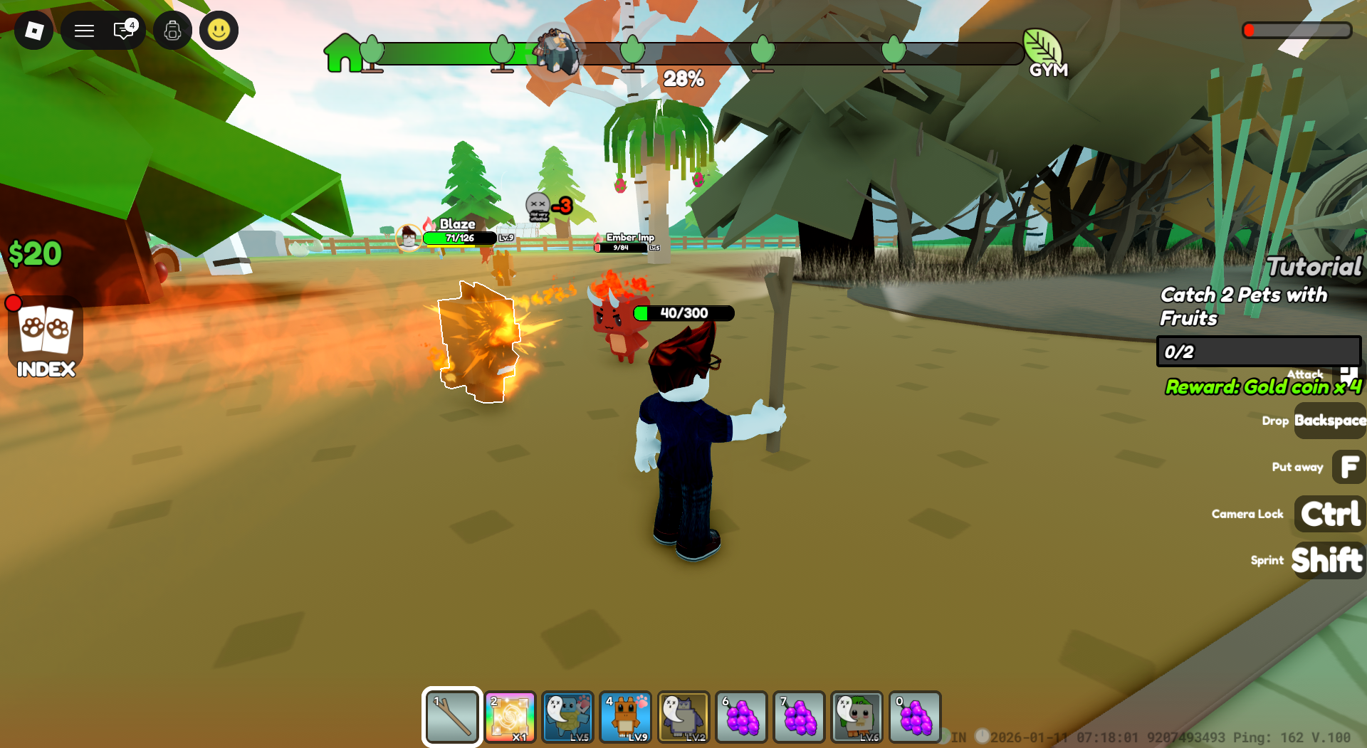 How To Play Pet Capture Adventure - Deltia's Gaming