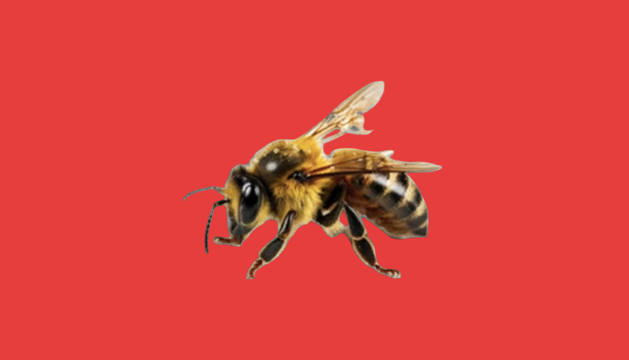 Icarus Beehives: How To Kill Bees - Deltia's Gaming
