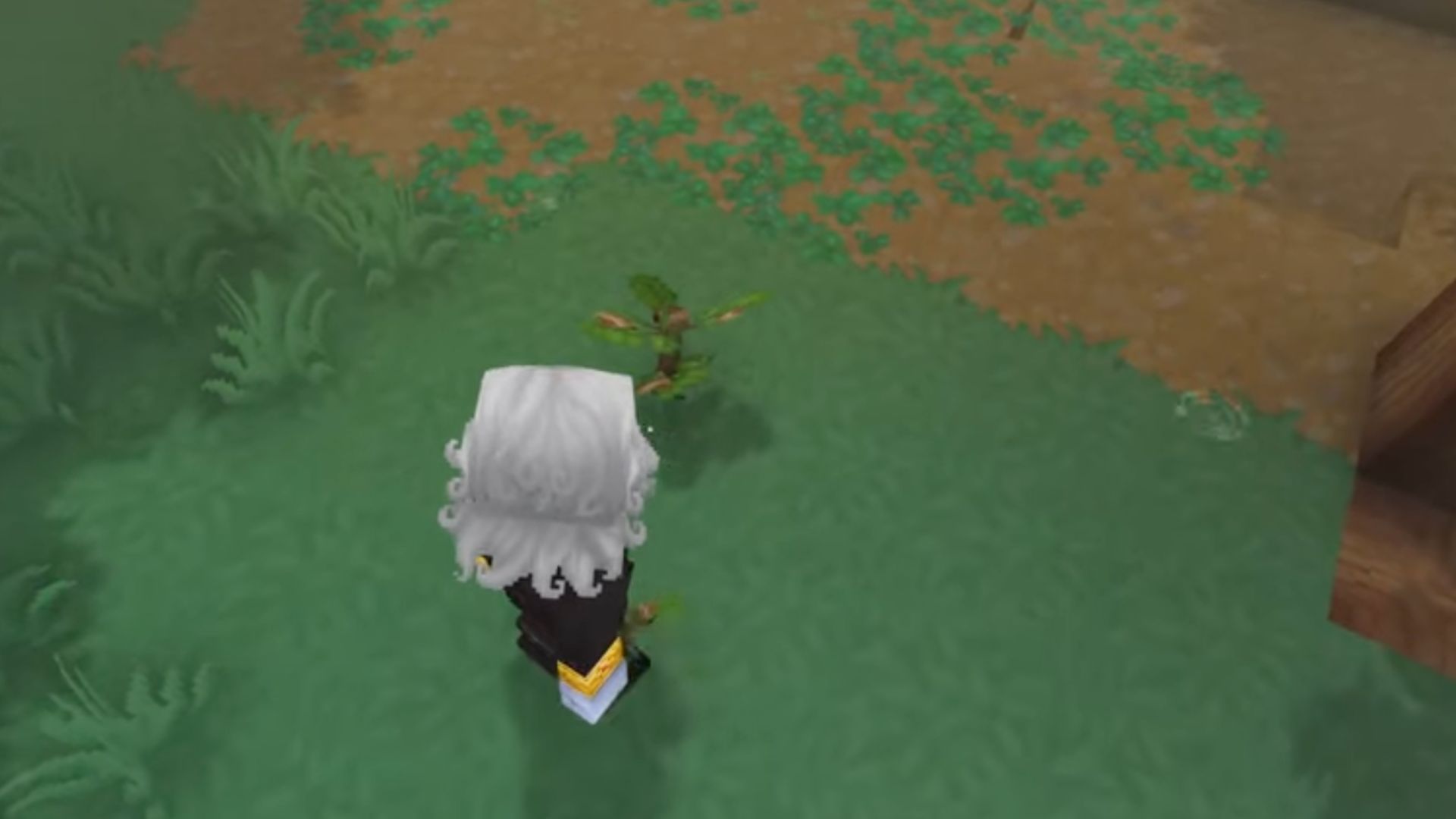 Hytale: How To Get Softwood Planks - Deltia's Gaming