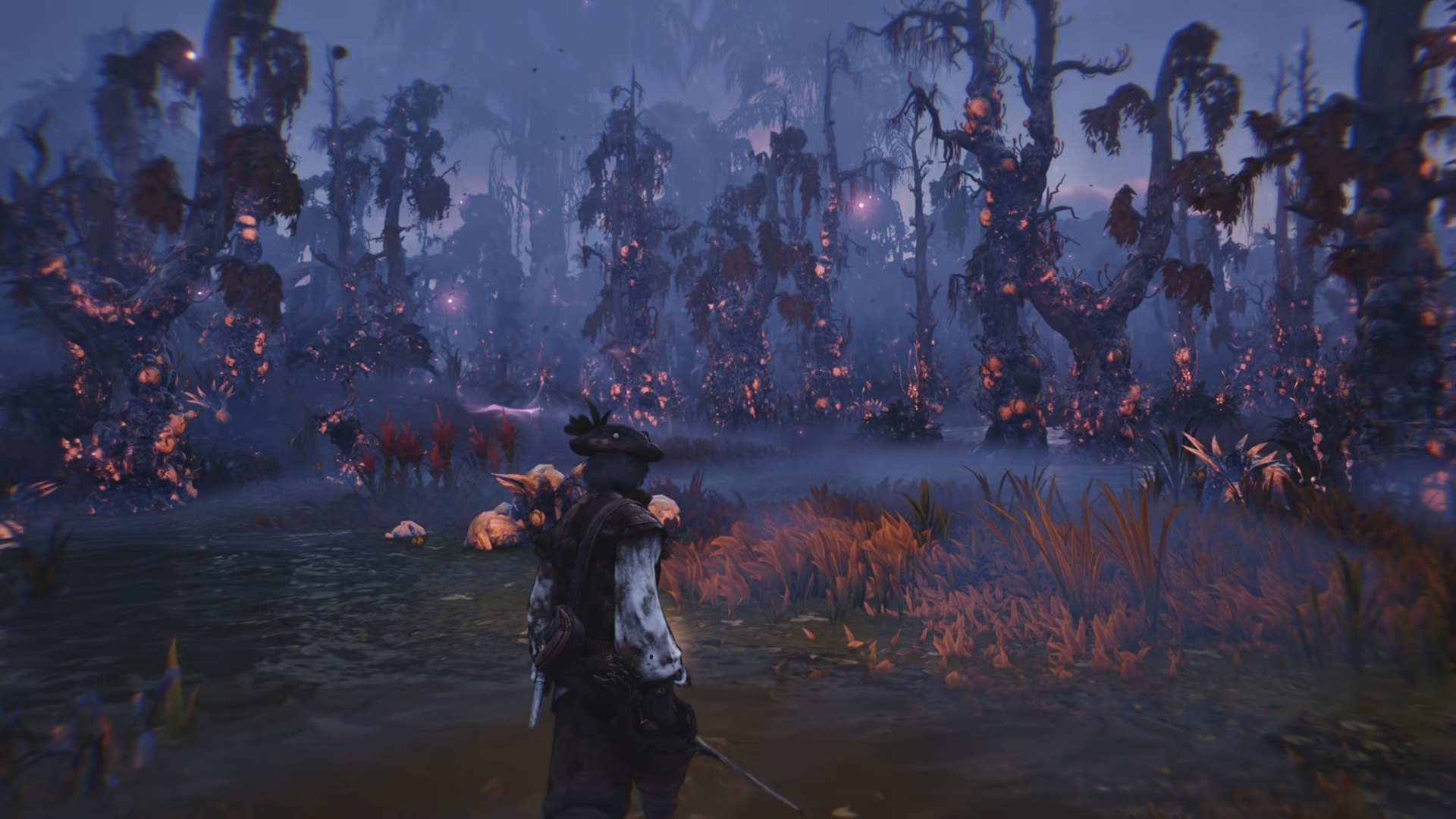Windrose Cursed Swamp Biome Guide: All Discoveries and Resources ...
