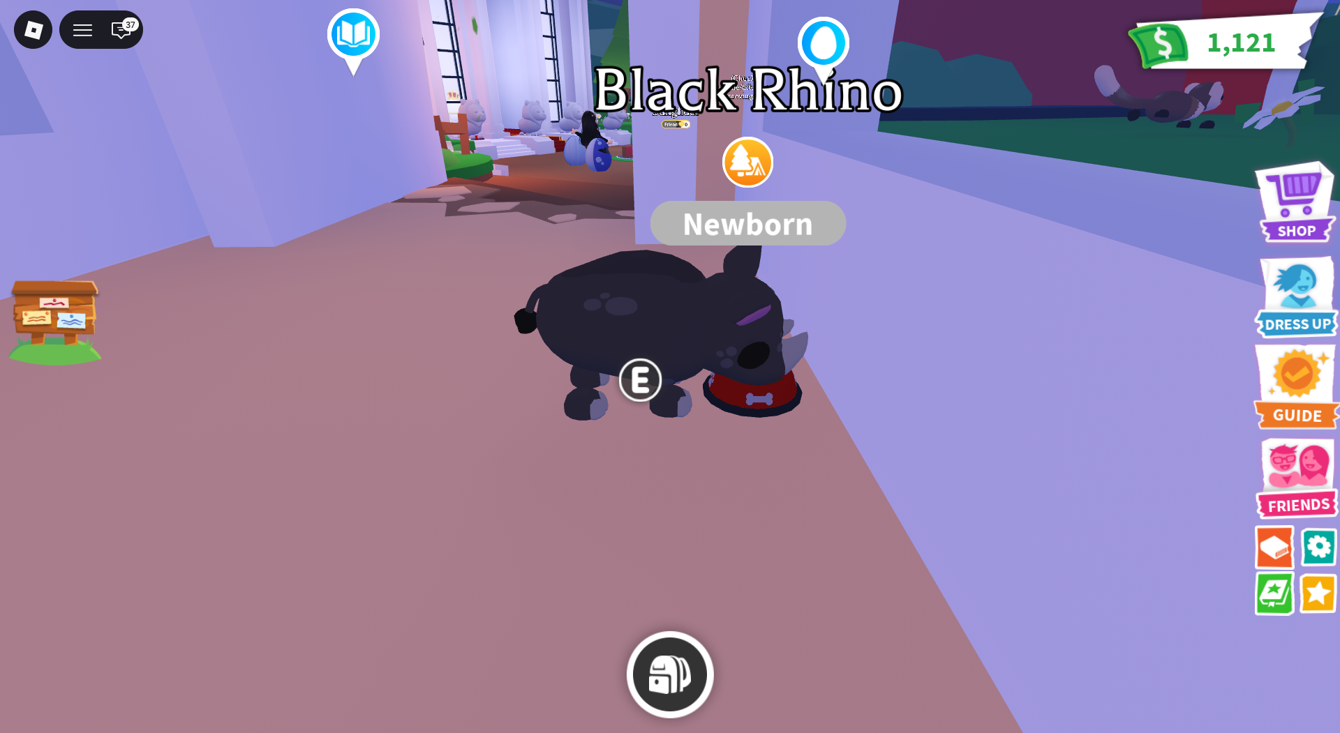 How To Get Purrowl Pet in Adopt Me - Deltia's Gaming