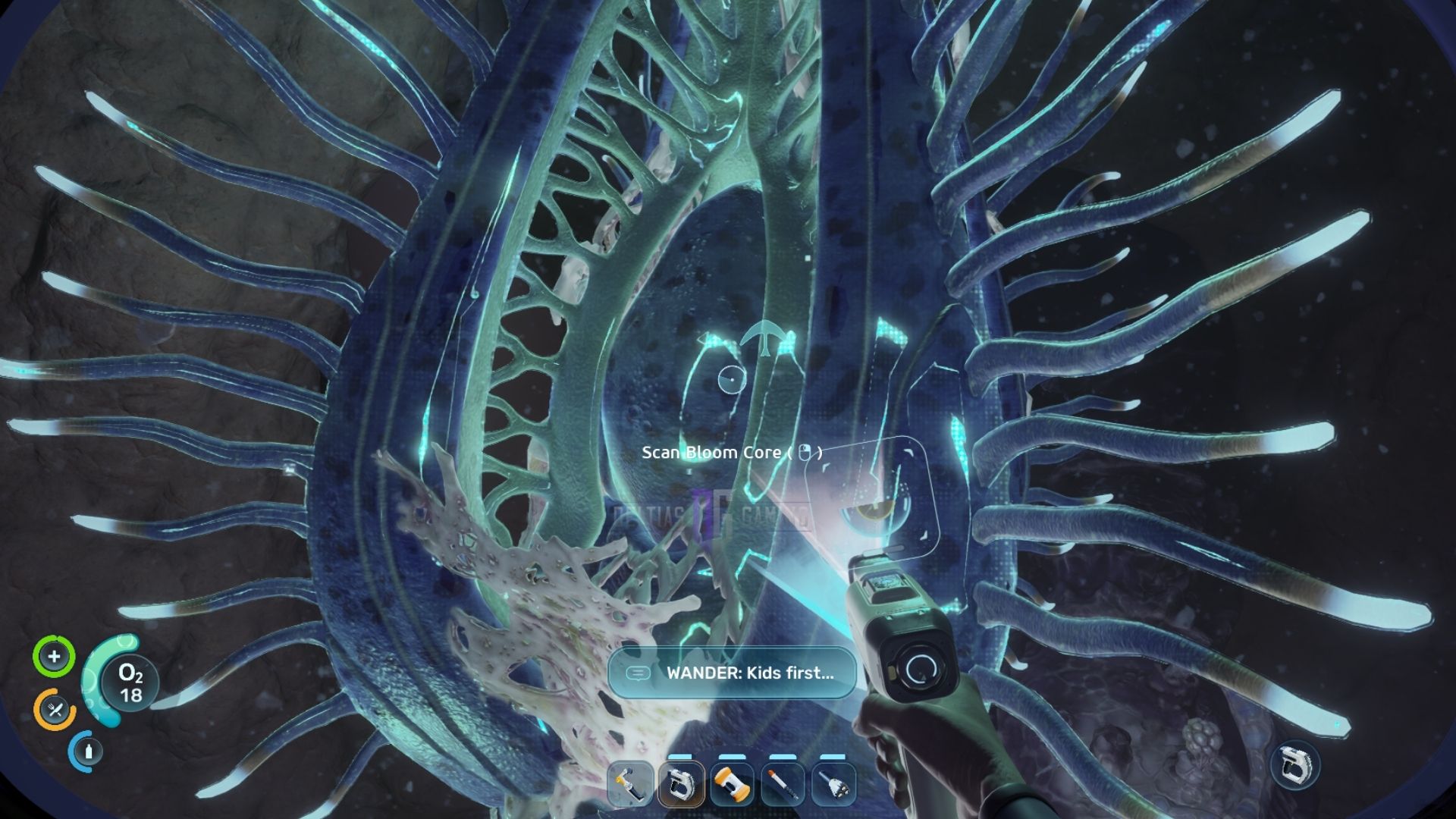 Subnautica 2: All Adaptations and How To Get Them (Angel Comb Locations ...